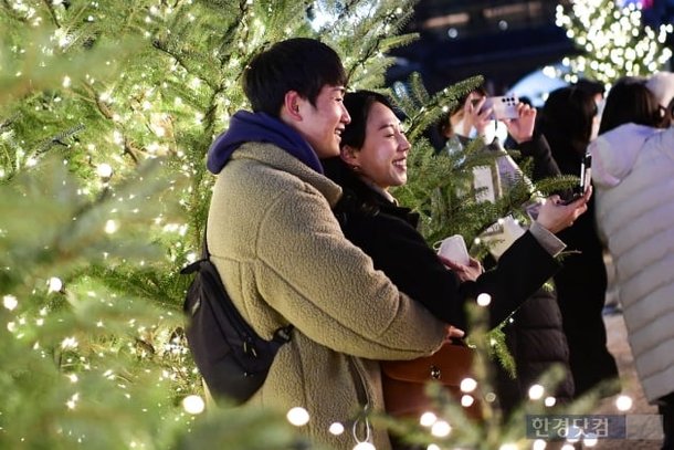 포토 반짝반짝 트리 앞에서 크리스마스 커플 샷 네이트 뉴스