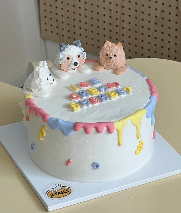 "우리가족인 네 생일을 축하해"…강아지 파티룸 빌리고 케이크 만든다 : 네이트 뉴스