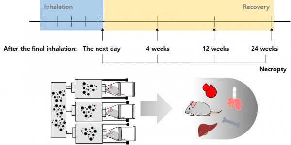 가습기살균제 '인체 손상' 과학적 입증됐다 : 네이트 뉴스