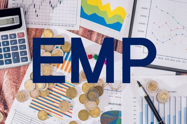 '분산투자 끝팡왕' EMP, 수익률 저조…'디폴트옵션'으로 반격 나설까 [투자360] : 네이트 뉴스