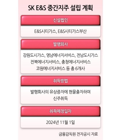 SK E&S, 중간지주 '지렛대'로 KKR와 공생 : 네이트 뉴스