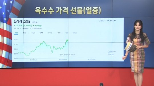 7월 17일 ETF 시황…IHF·CORN 강세 [글로벌 시황&이슈] : 네이트 뉴스