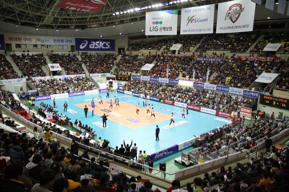 구미시, KOVO컵대회 우선 협상지 선정 2023-24시즌 10월 14일 개막 : 네이트 스포츠