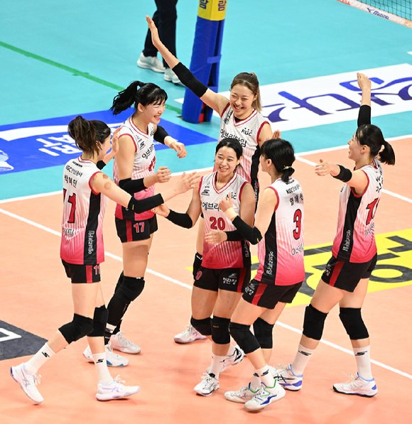 KGC인삼공사 배구단, 정관장 구단명 변경 KOVO 공식 승인 : 네이트 스포츠