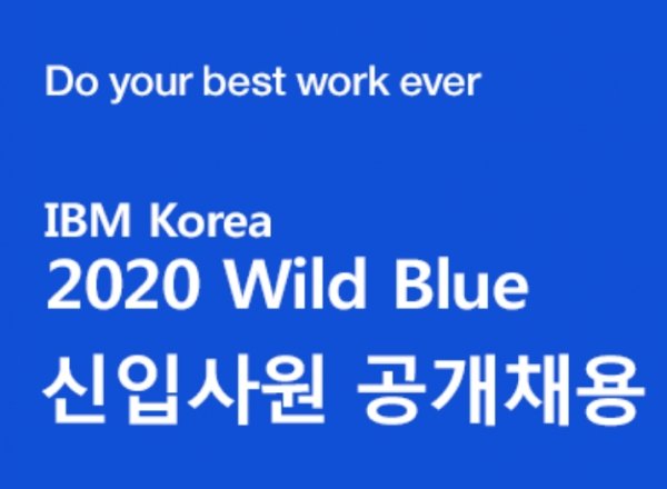 한국IBM, 2020년 공채 '와일드 블루' 선발…오는 11일부터 모집 시작 : 네이트 뉴스