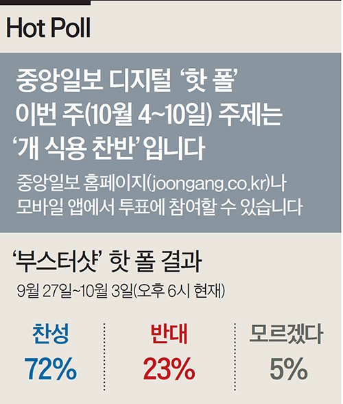 [Hot Poll] '부스터샷' 핫 폴 결과 : 네이트 뉴스