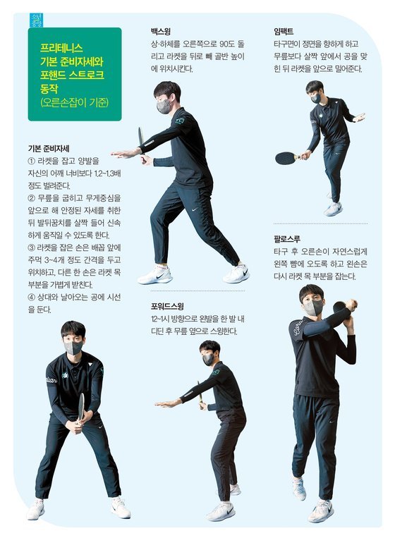 [소년중앙] 탁구의 민첩함, 테니스의 다이내믹…프리테니스로 동시에 체험해요 : 네이트 뉴스