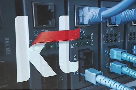 KT, 서울 구로·영등포 통신장애 "수목작업 중 광케이블 절단" : 네이트 뉴스