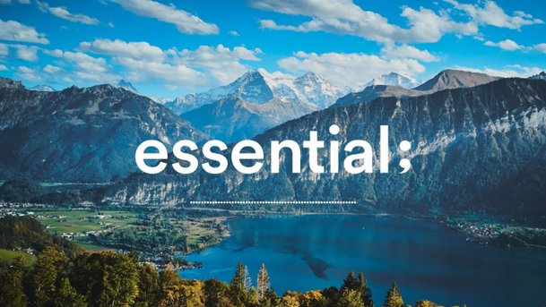 '온라인 집들이'에 어김없이 등장하는 'essential;' 화면의 정체는? : 네이트 뉴스