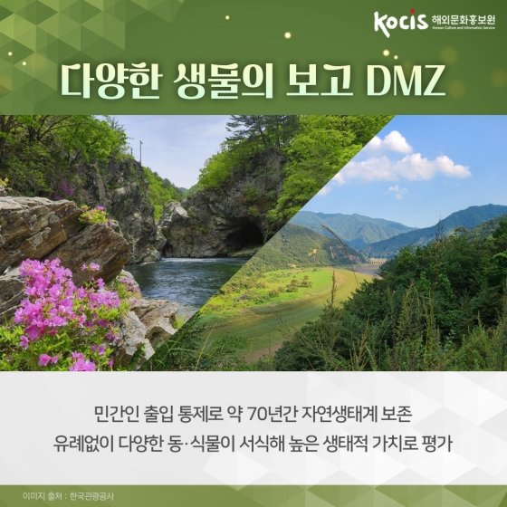 "세계에서 가장 비밀스러운 곳" 외신도 강력 추천한 여행지 DMZ : 네이트 뉴스