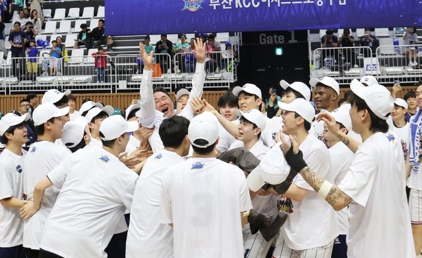 '명가 부활' KCC 13년 만에 챔프 등극…허웅 MVP : 네이트 스포츠