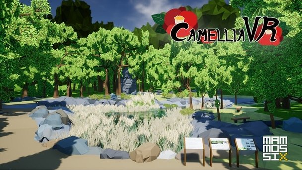 맘모식스, 생태관광 메타버스 '카멜리아 VR' 스팀 출시 : 네이트 뉴스