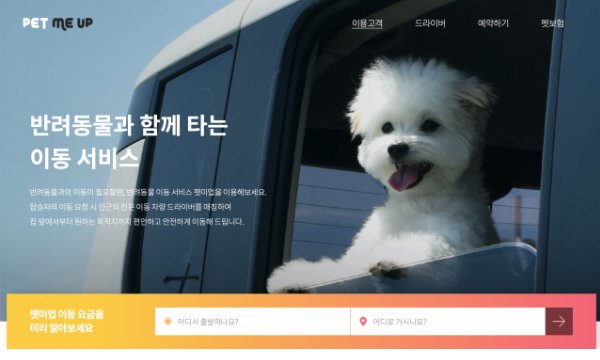 Kakao Mobility brings on pet pickup, car repair, wash, resale services ...