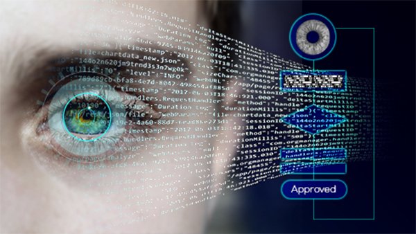 KT&C's novel iris recognition technology gains government accreditation : 네이트 뉴스