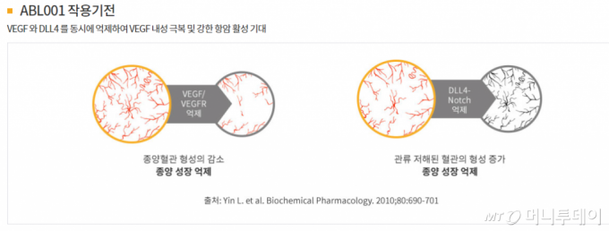 ABL바이오 "ABL001 효능 또 확인, 한독과 치료제 개발 검토 중" : 네이트 뉴스