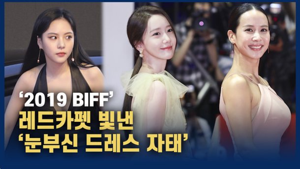 [영상] 2019 BIFF 레드카펫 빛낸 그녀들의 '눈부신 드레스 자태' | 아이돌24시 : 네이트 연예