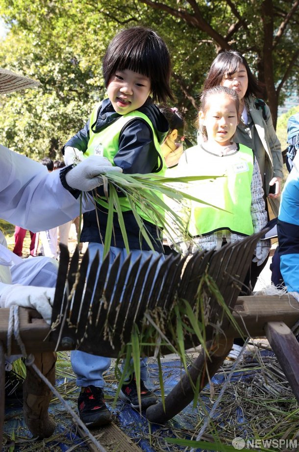'벼탈곡 재밌어요~' : 네이트 뉴스