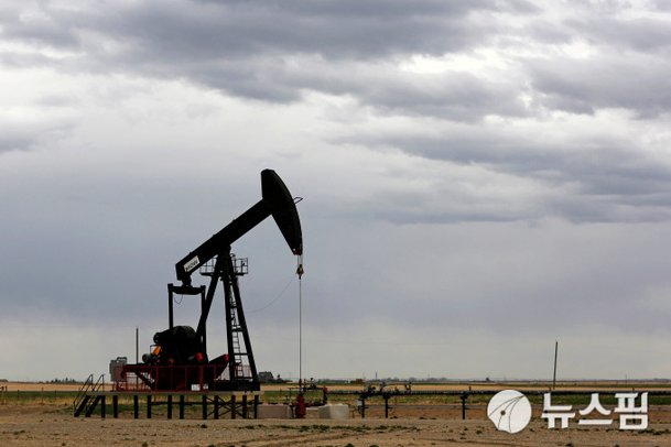 국제유가, IEA 수요 예측치 상향에 상승…WTI 80달러 돌파 : 네이트 뉴스