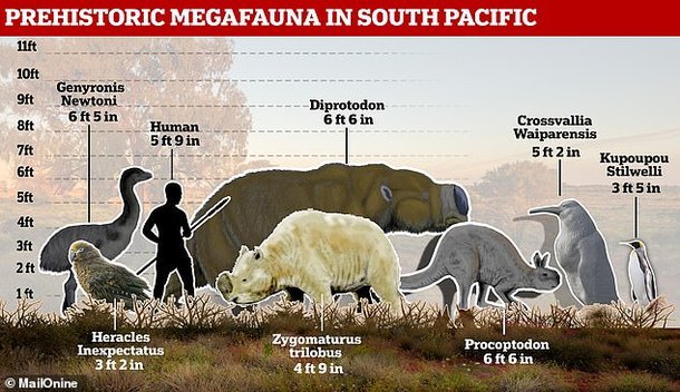 '펭수' 조상의 친척?…6000만년 전 살았던 '자이언트 펭귄' 발견 : 네이트 뉴스