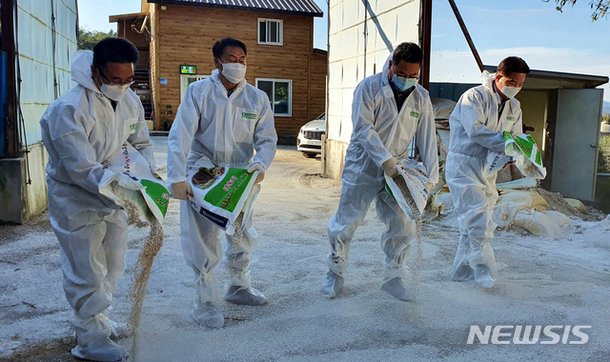 전남농협 '아프리카돼지열병(ASF)' 차단 특별방역 : 네이트 뉴스