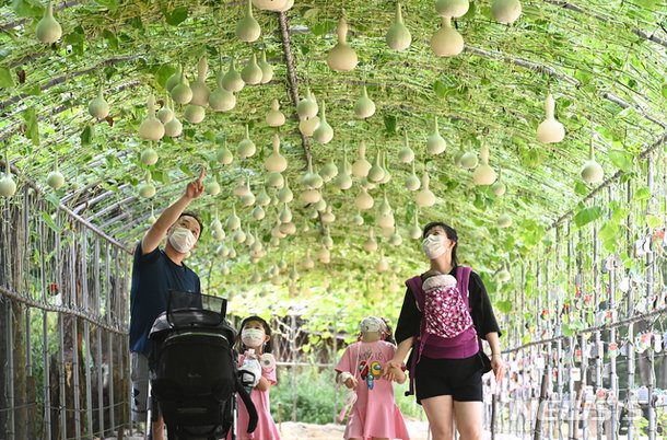 조롱박과 함께 추억을 : 네이트 뉴스
