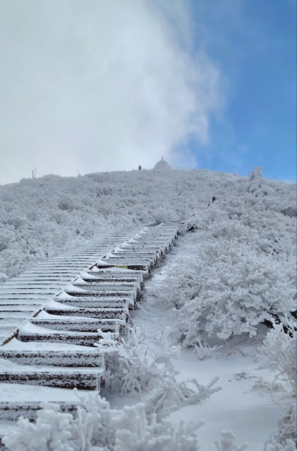 설경 펼쳐진 지리산 노고단 : 네이트 뉴스