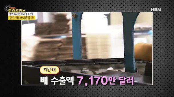 MBN [토요포커스] 김춘진 한국농수산식품유통공사장 "먹거리 컨트롤 타워, 국민 밥상을 지키다" : 네이트 뉴스