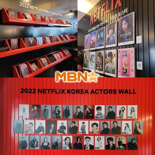 체험도 하고 전시도 보고…부국제와 함께한 OTT는? [M+BIFF현장] | 네이트 연예