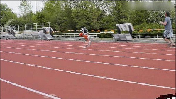 [오늘의 세계] 100m 24.73초, 제대로 뛰는 2복 보행 로봇 : 네이트 뉴스