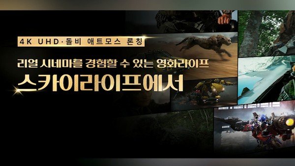 [비즈투데이] KT스카이라이프, 4K UHD·돌비 애트모스 지원 VOD 출시 : 네이트 뉴스