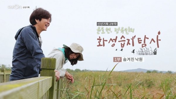 KBS '화성습지 답사'·EBS '곤충, 전략의 귀재들', 이달의 독립PD상 수상 : 네이트 뉴스