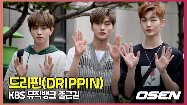 드리핀(DRIPPIN), '잘생긴 애 옆 잘생긴 애' [O! STAR] : 네이트 연예