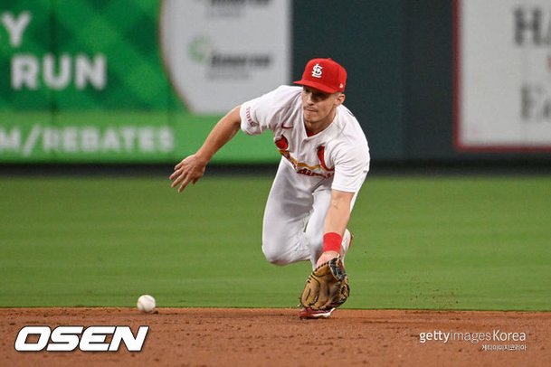 '연봉 조정 피했다' 에드먼, STL 2년 계약…日 매체 소개, "WBC 한국 대표 출전, 눗바와 친해" : 네이트 스포츠