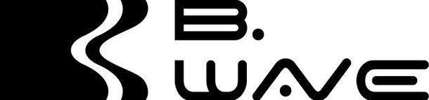 'FNC·RBW 출신' 구본영 대표, 비웨이브 엔터테인먼트 설립…新 K팝 시대 예고 : 네이트 연예