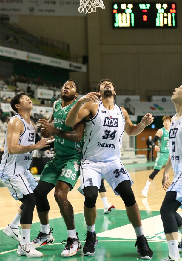 DB-KCC '동병상련'매치…KCC의 투지농구가 빛났다 : 네이트 스포츠