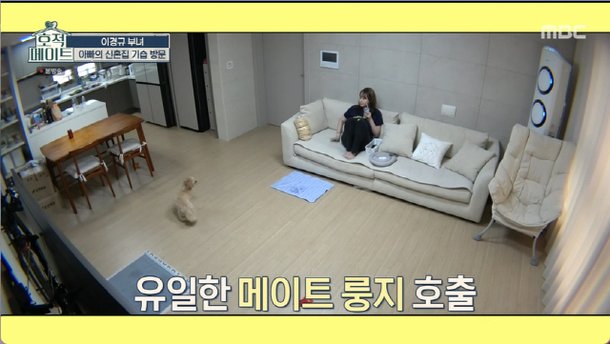 '이경규 딸' 이예림, '코성형 최초공개'→정지웅, '서울대+IQ169' 찐비법 공개 : 네이트 연예