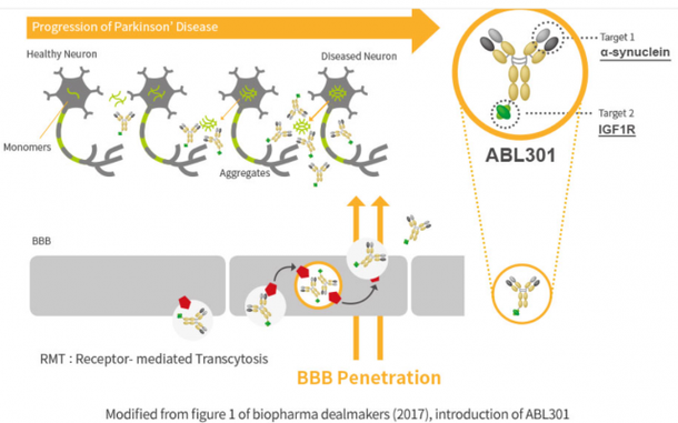에이비엘바이오, 美 FDA에 퇴행성뇌질환 치료제 1상 계획 제출 : 네이트 뉴스