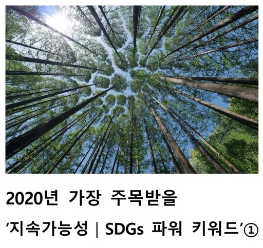 내년 가장 주목받을 지속가능성 파워 키워드는 [더 나은 세계, SDGs] (112) : 네이트 뉴스