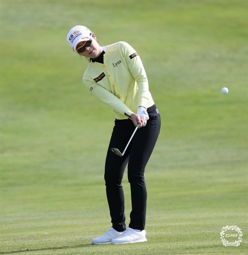 칩샷을 시도하는 안송이 프로 [KLPGA 롯데렌터카 여자오픈] : 네이트 스포츠