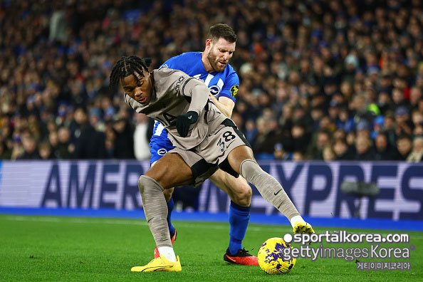 [EPL 19R 리뷰] '손흥민 어시스트' 토트넘, 브라이튼에 2-4 쓰라린 패배…리그 4연승 실패 : 네이트 스포츠