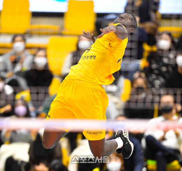 KB손보 '복덩이' 케이타, 흥이 올라오면 감독도 못말린다…1R MVP [V리그 현장] : 네이트 스포츠