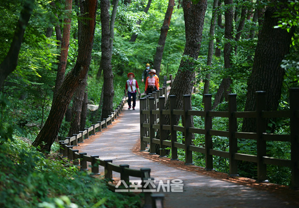 전남도 세계산림치유대회 10월 화순군에서 개최 네이트 뉴스