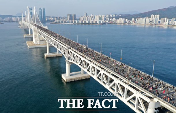 '바다 위 달린다!'…광안대교 가득 메운 부산바다마라톤 대회 [TF사진관] : 네이트 뉴스