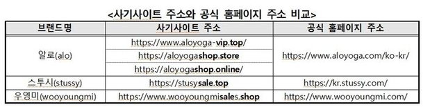 소비자원 "'알로' '스투시' 세일 SNS 광고, 사칭 주의" : 네이트 뉴스