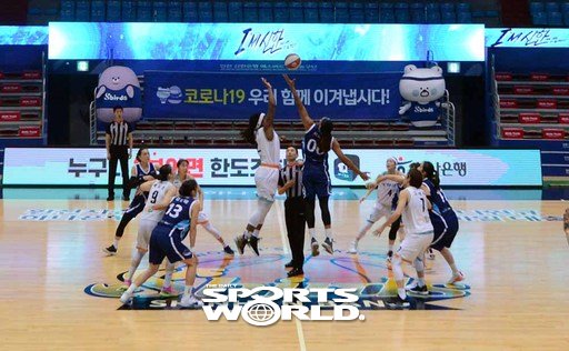 '조기 종료' WKBL, 보상FA 규정 변경 및 샐러리캡 논의 : 네이트 스포츠