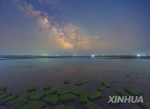 #CHINA-HEILONGJIANG-PADDY FIELDS-NIGHT VIEW (CN) : 네이트 뉴스