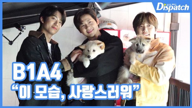 [현장영상] "이 모습, 사랑스러워"…B1A4, 멍뭉미 폭발 : 네이트 연예