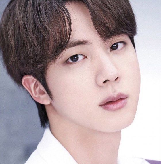 방탄소년단 진 가장 좋아하는 Bts 멤버 1위…한국관광공사 마닐라 지사 투표 네이트 연예