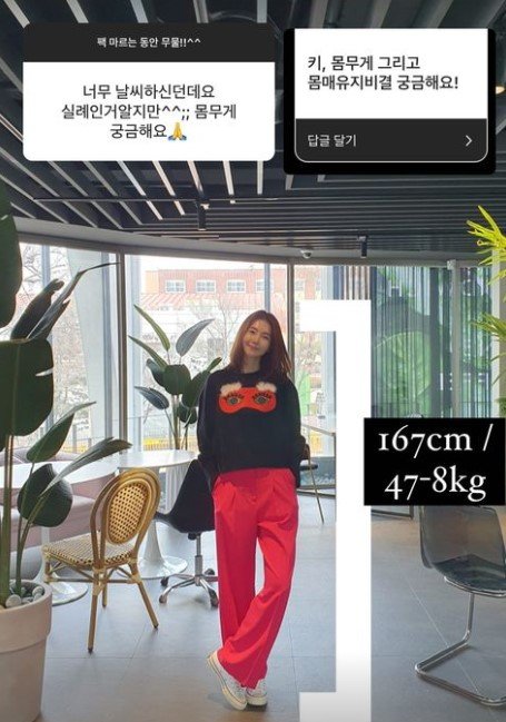 '돌싱글즈3' 조예영, 167cm-48kg 완벽 몸매 인증 '시선 강탈' : 네이트 연예