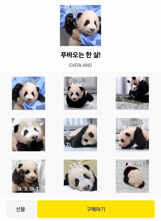 에버랜드, 판다 푸바오 인기…이모티콘·굿즈 역주행 : 네이트 뉴스